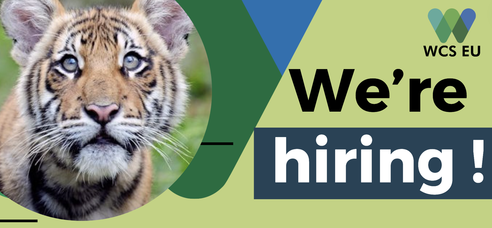 NEW Job Advert > WCS EU